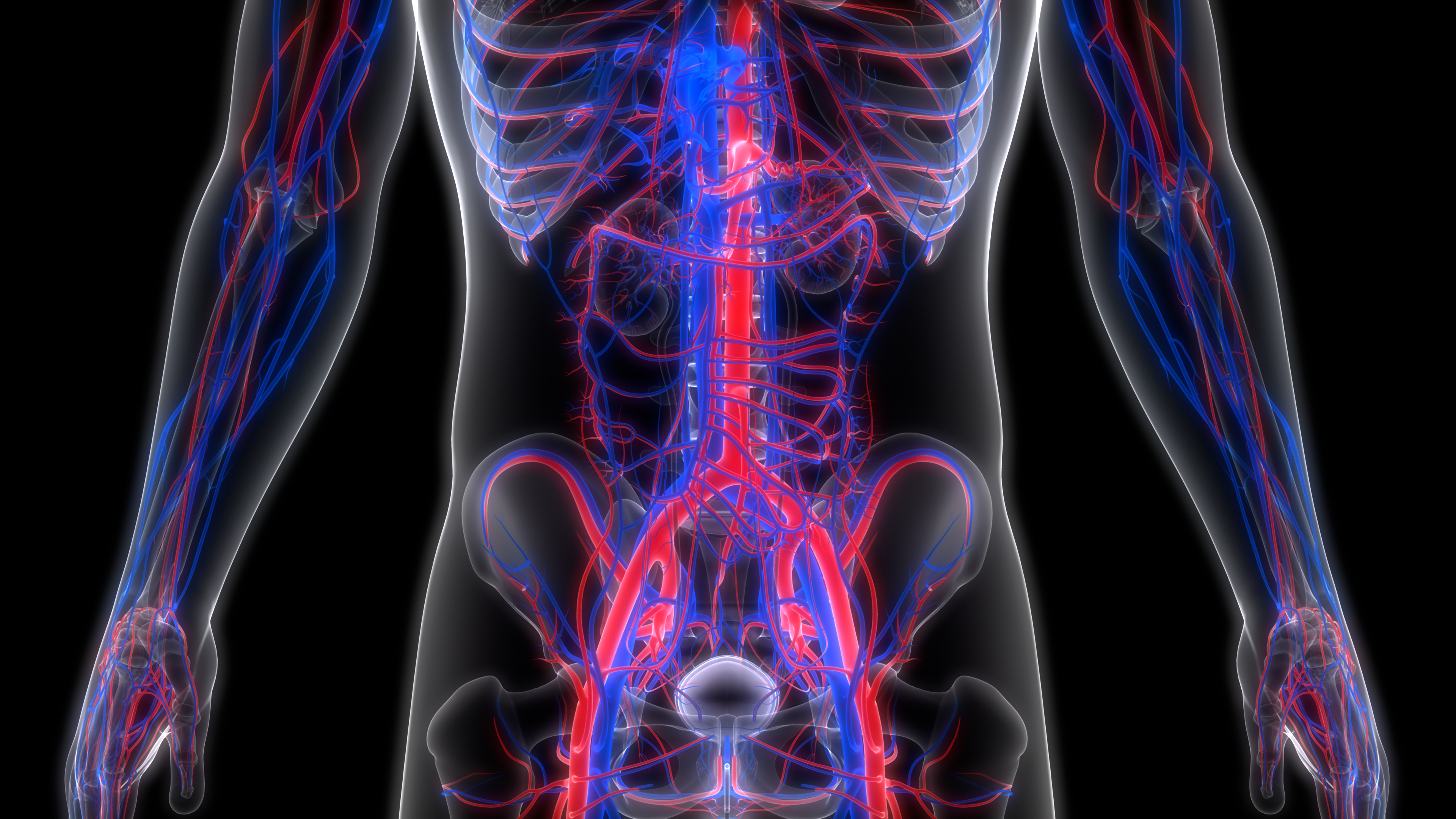 Vascular Care | Area of Expertise | UAMS Health